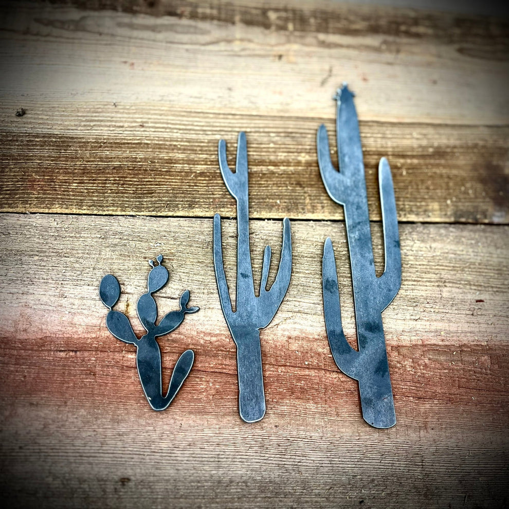 FREE GIFT - 3-Pack Raw Steel Cacti – Northern Forge, LLC